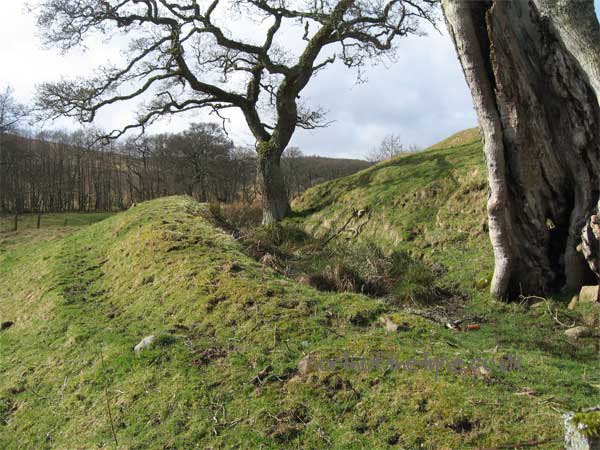 Dally Castle - Northumberland